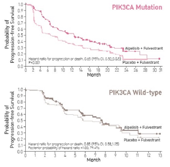 GC녹십자의료재단, ‘PIK3CA 유전자 변이 검사’ 개시