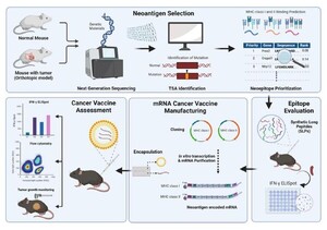 가톨릭대-SML바이오팜, 국내 첫 개인 맞춤형 mRNA 암백신 효능 입증